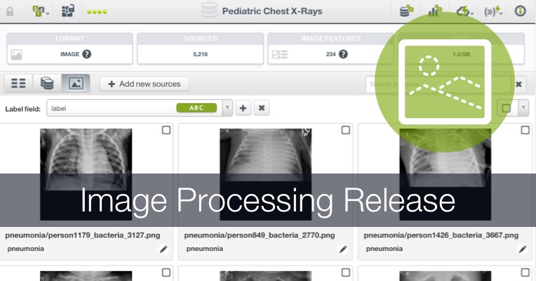 Image Processing Release | BigML.com